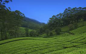 Meghamalai – High Wavy Mountains - Travel to India, Cheap Flights to ...