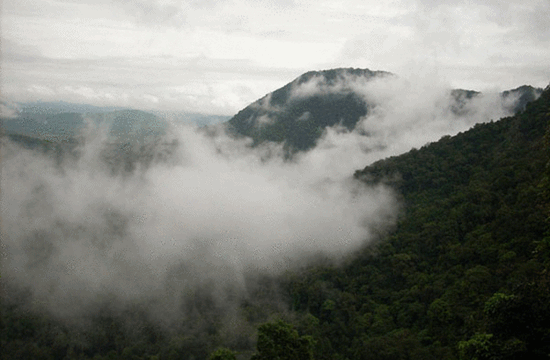 Agumbe, the Cherrapunji of South India, is More than a Typical Monsoon ...